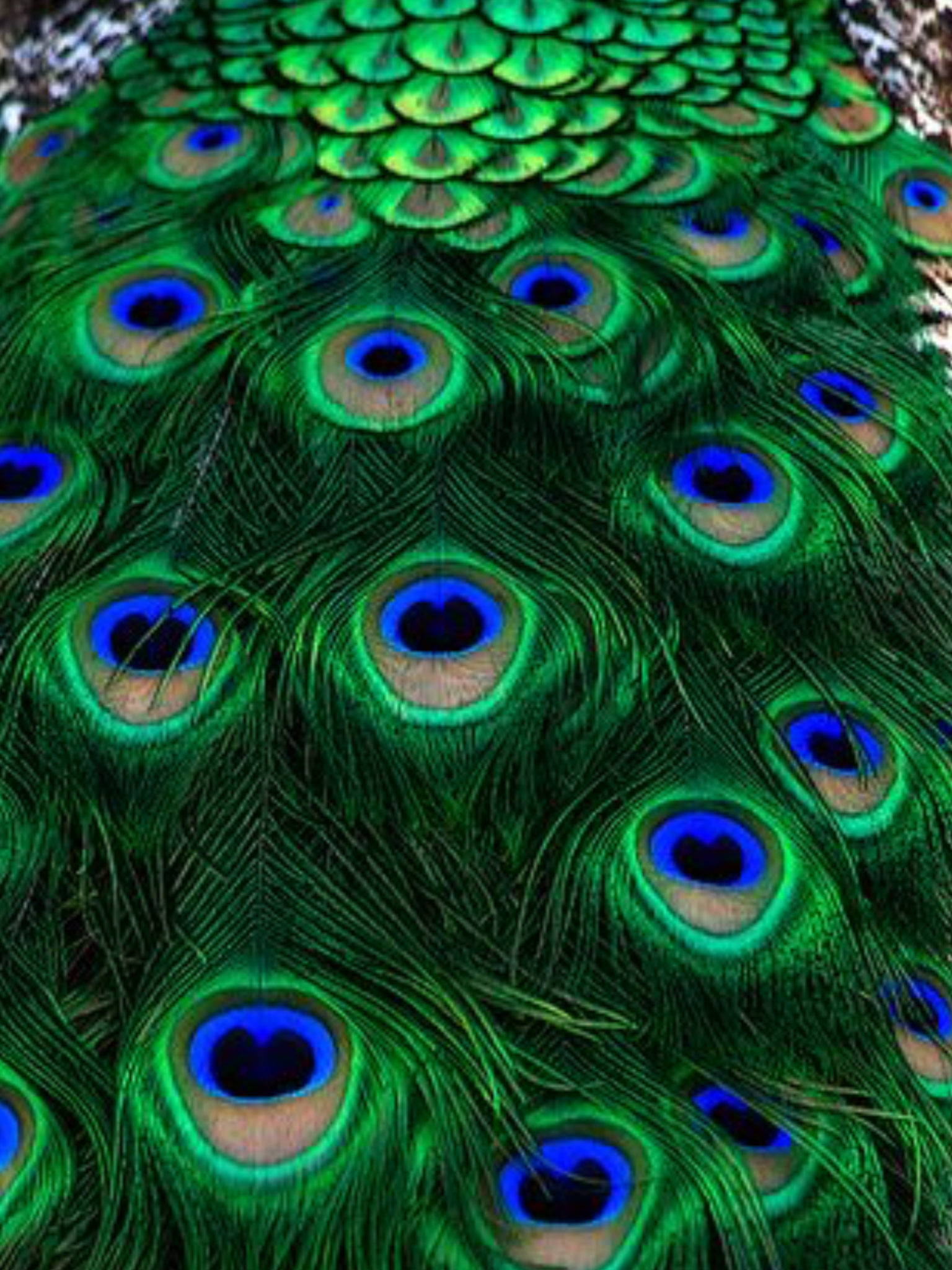 Patterns of thought – Executive, Life, Wellbeing Coaching – Coach ...