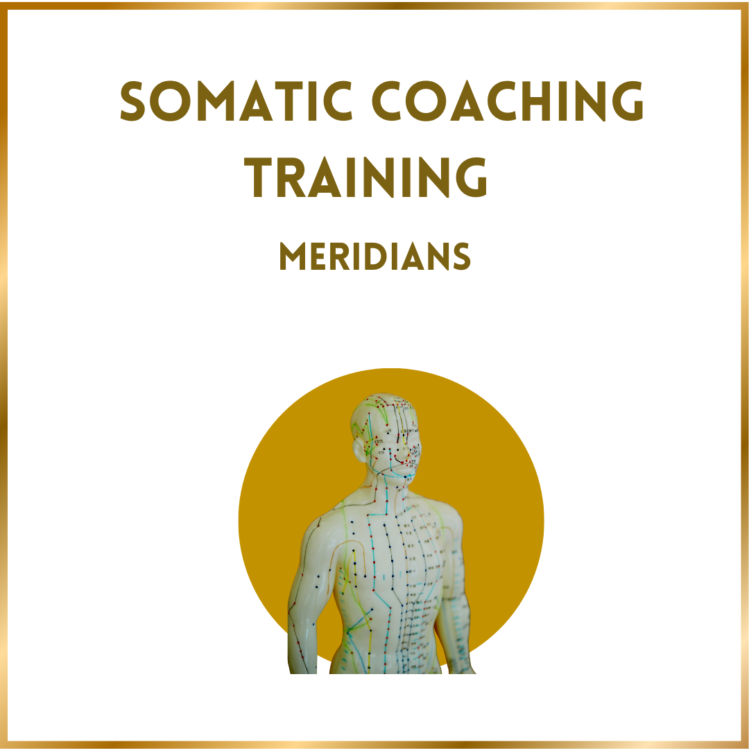 Integrate Somatics in Coaching: Genco Method (GMSI) Course